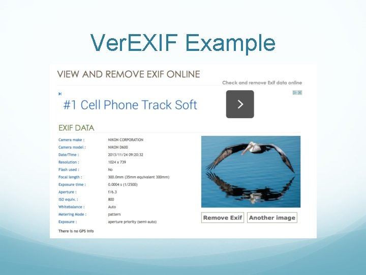 Microfocus Adjustment EXIF Data Background What is it