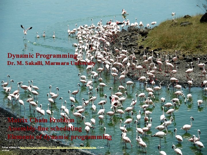Dynamic Programming Dr M Sakalli Marmara University Matrix