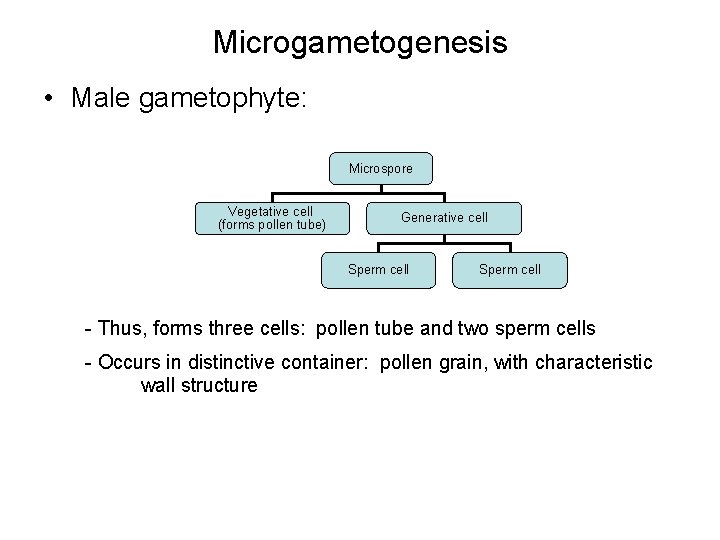 Gametogenesis and Sporogenesis Scott Russell Office 210 NML
