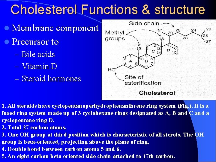 Dr ali albayati Lec 4 Cholesterol metabolism INTRODUCTION