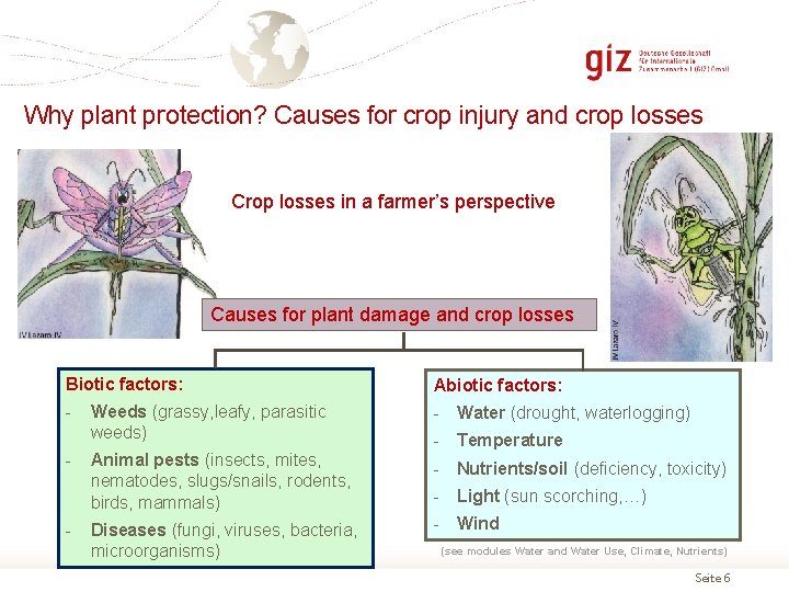 Modules on Sustainable Agriculture 10 MOSA Sustainable Plant