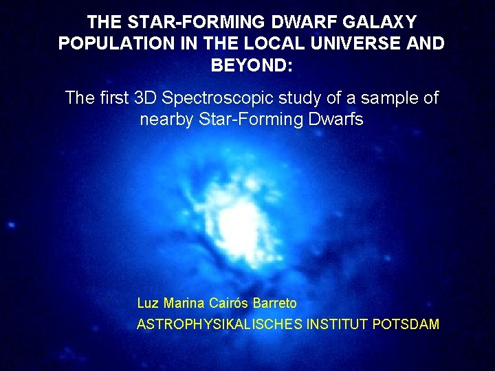 THE STARFORMING DWARF GALAXY POPULATION IN THE LOCAL