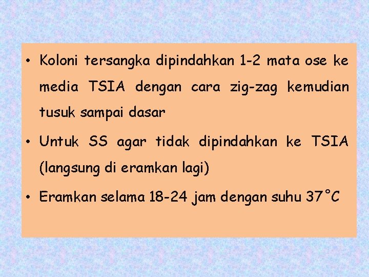 Pemeriksaan E Coli Salmonella Vibrio cholera dan Shigella
