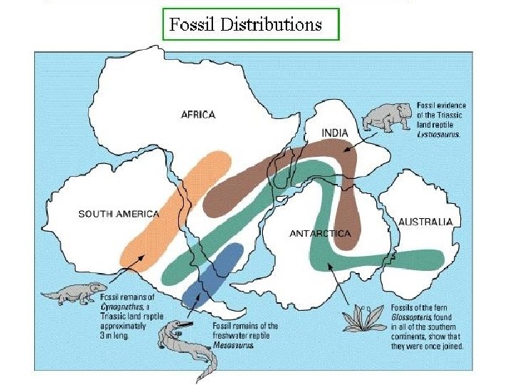 Alfred Wegener a great SES scientist 1880 1930
