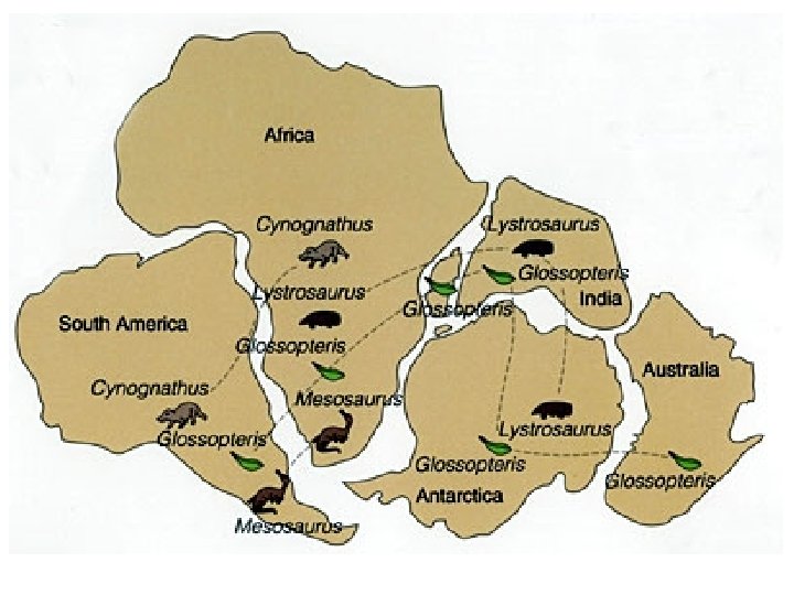 Alfred Wegener a great SES scientist 1880 1930