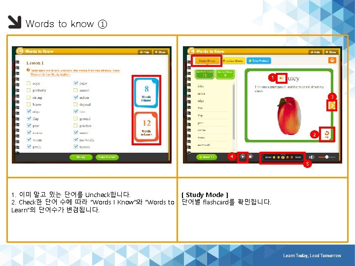 ePOLY Language Arts Flow Language Arts Flow Lesson