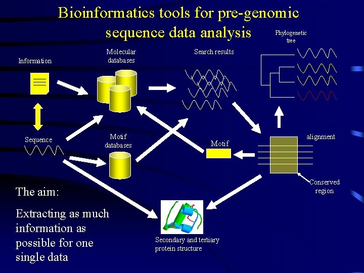 SOM y SOTA Clustering methods in the analysis