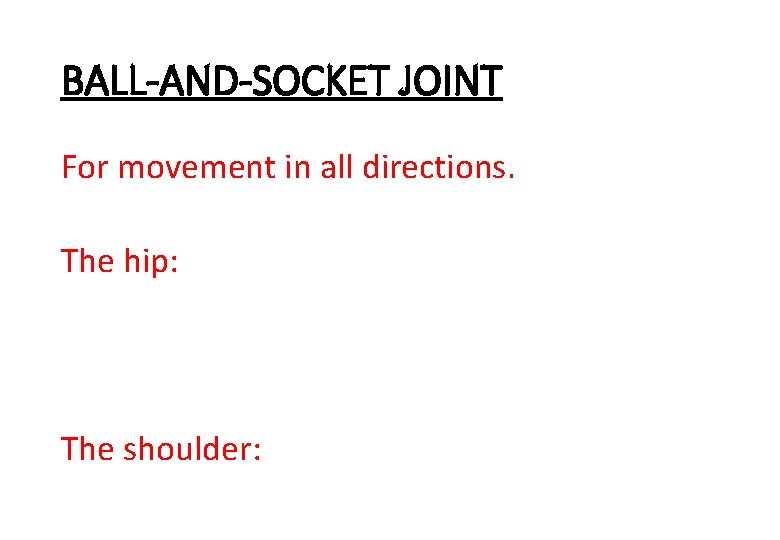 Joints Where on your body can you find