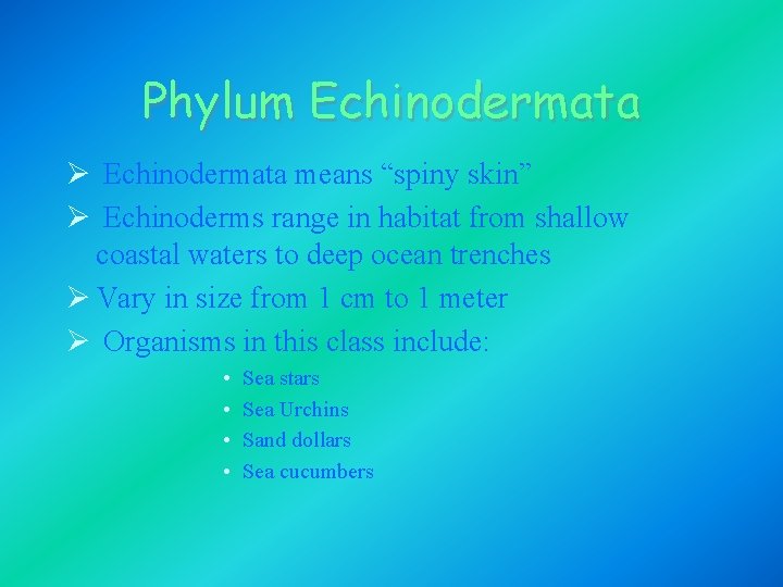 Echinoderms Phylum Echinodermata Echinodermata means spiny skin Echinoderms