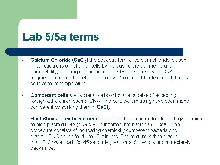 Lab 55 a Transformation of E coli with