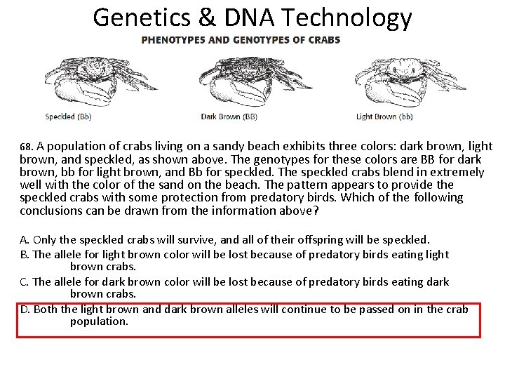 Genetics DNA Technology 65 Gregor Mendel crossed a