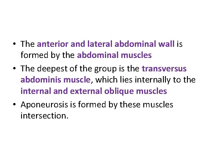 Diastasis Recti THE ABDOMINAL MUSCLES The anterior and