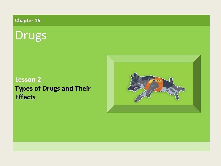 Chapter 16 Drugs Lesson 2 Types of Drugs