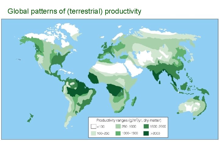 Productivity and the Carbon Cycle 1 st Law