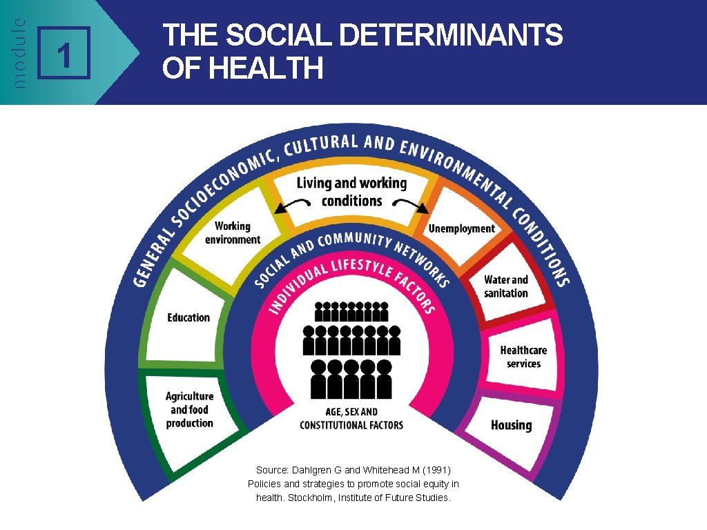 THE DETERMINANTS OF HEALTH MODULE 1 PART 2