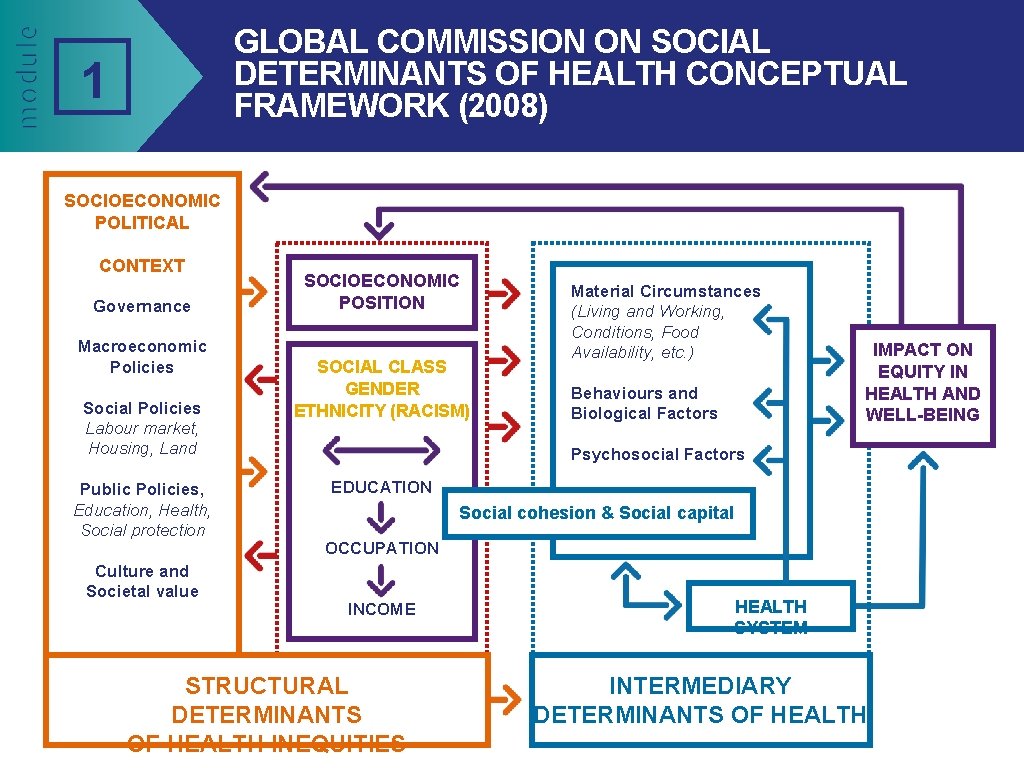 THE DETERMINANTS OF HEALTH MODULE 1 PART 2