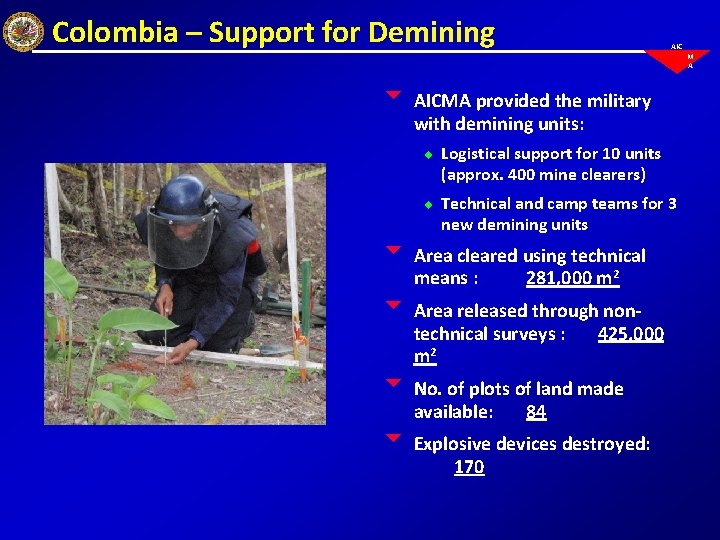 Program for Comprehensive Action against Antipersonnel Mines AICMA