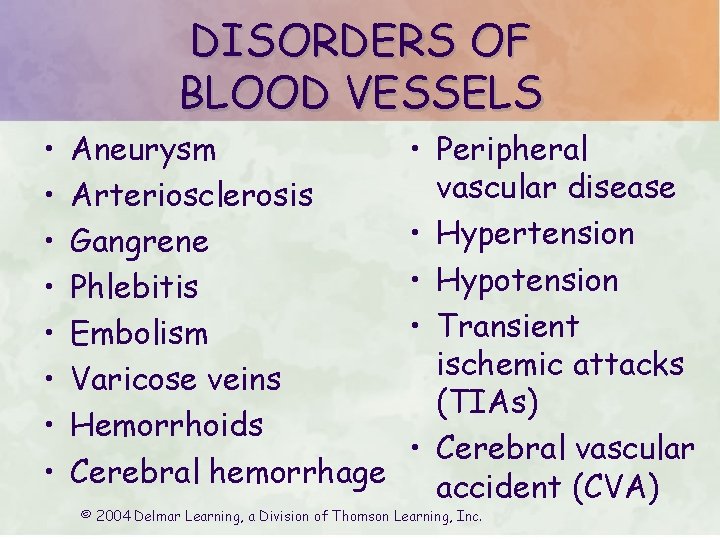 Chapter 14 CIRCULATION AND BLOOD VESSELS 2004 Delmar