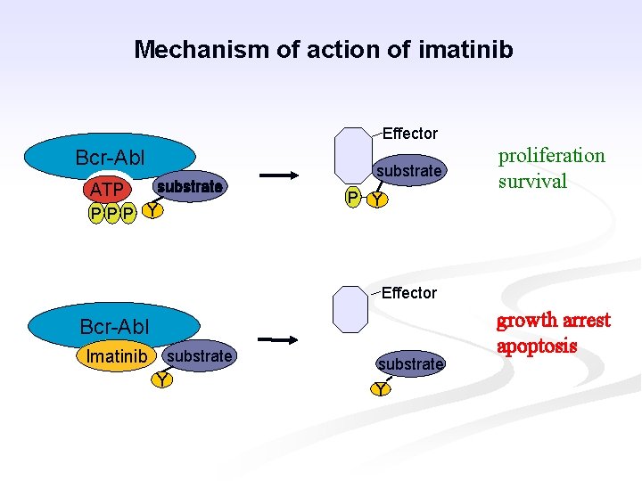 Largescale sh RNA screens to identify novel combination