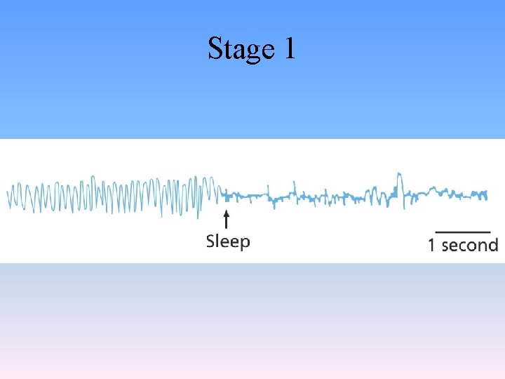 States of Consciousness Sleep Dreams and Body Rhythms
