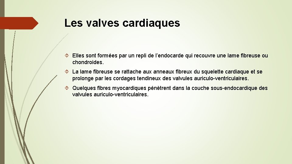 Le squelette fibreux du cur Les valves cardiaques