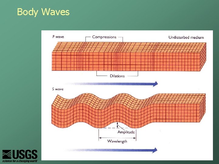 Seismology Wave Propagation Art Mc Garr Based on