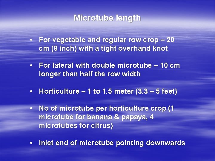 LOW COST MICROTUBE DRIP SYSTEM Presentation by J