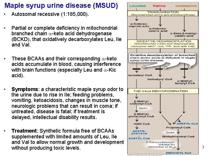 Dental Biochemistry Lecture 25 Amino acidopathies defects in