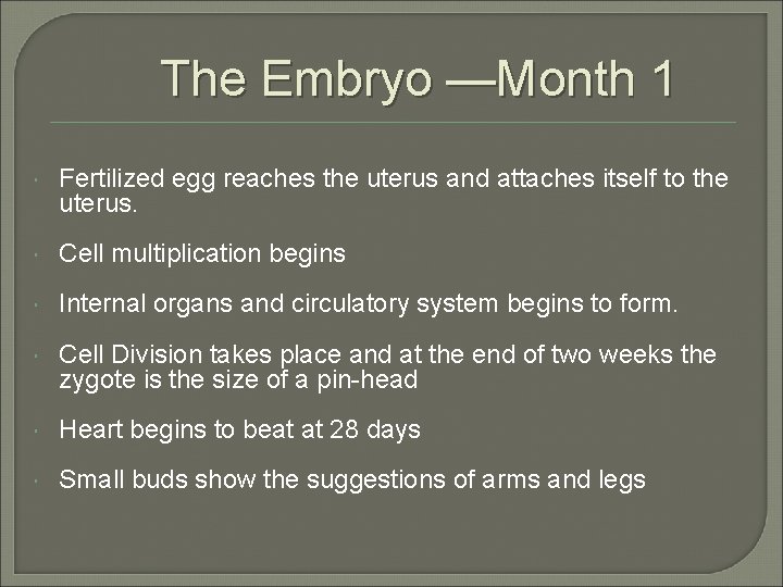 PreNatal Development Prenatal Baby Development of the baby