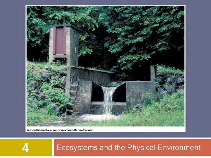 4 Ecosystems and the Physical Environment Overview of