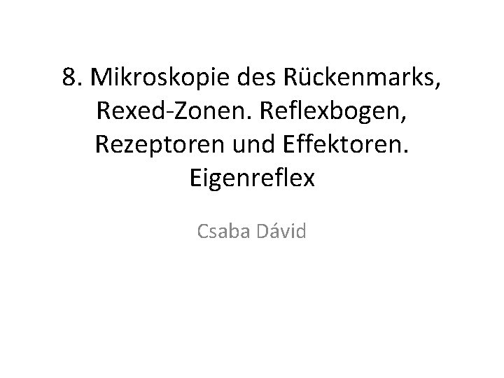8 Mikroskopie des Rckenmarks RexedZonen Reflexbogen Rezeptoren und