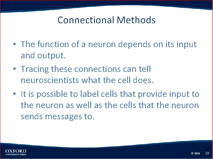 1 Introduction Cognitive Neuroscience David Eagleman Jonathan Downar