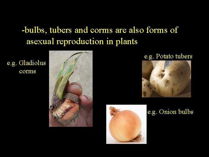 General Outcome 2 Explain the link between reproduction