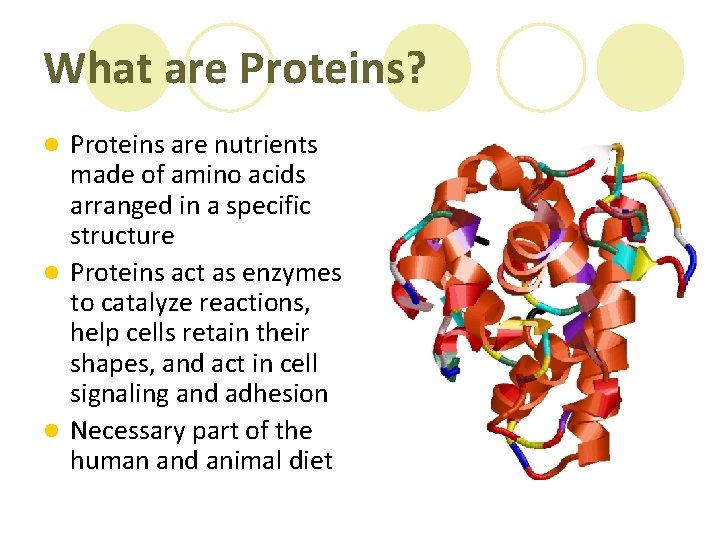 The Central Dogma DNA RNA and Proteins Written