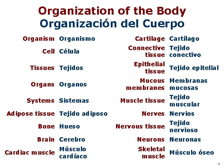 SPANISH MEDICAL TERMINOLOGY TERMINOLOGIA MEDICA EN ESPAOL Organization