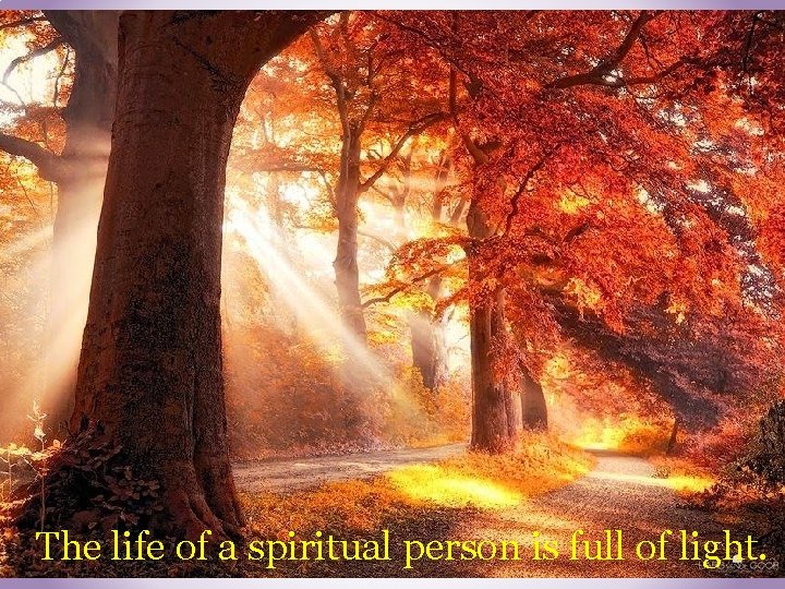 Journey of Personal Development Part 3 SelfDiscovery Healing