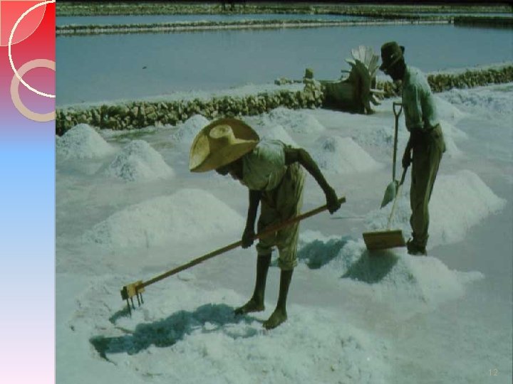Loyalists Prepared by Mrs Carlene Burrows 1 Give