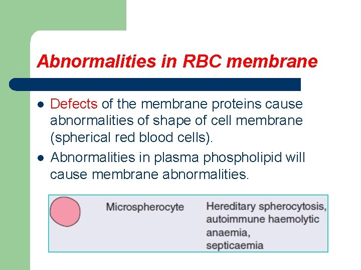 Fundamentals of Blood Biochemistry BCH 220 DR MANSOUR