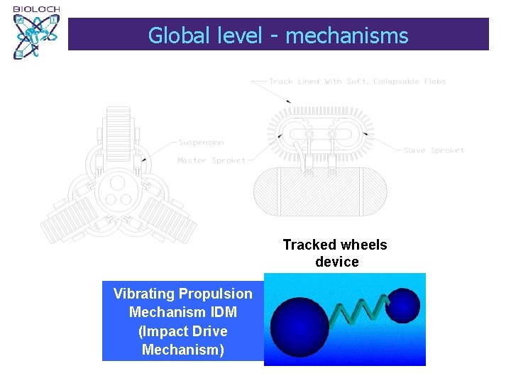 BIOLOCH 6 th month Meeting BIOmimetic structures for