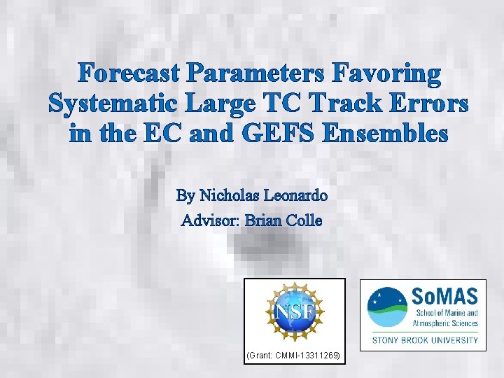 Forecast Parameters Favoring Systematic Large TC Track Errors