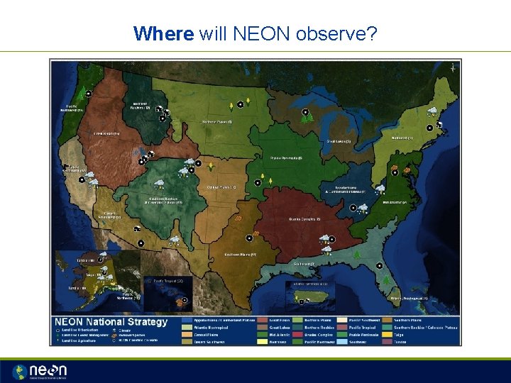 NATIONAL ECOLOGICAL OBSERVATORY NETWORK Dave Tazik NEON Team