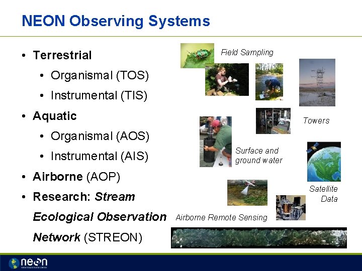 NATIONAL ECOLOGICAL OBSERVATORY NETWORK Dave Tazik NEON Team