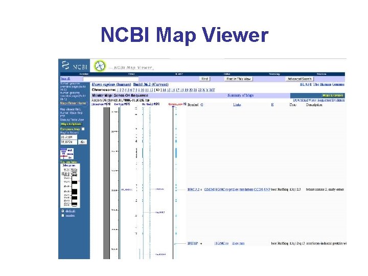Investigating Genomes with Ensembl Drs Bert Overduin and