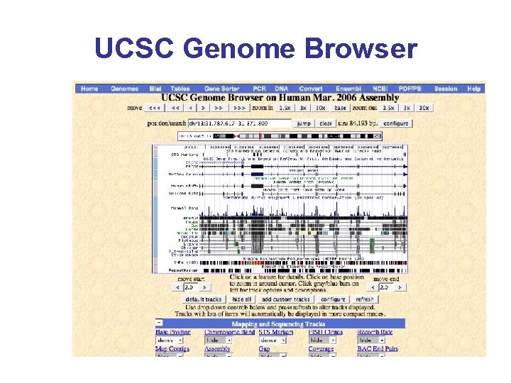 Investigating Genomes with Ensembl Drs Bert Overduin and
