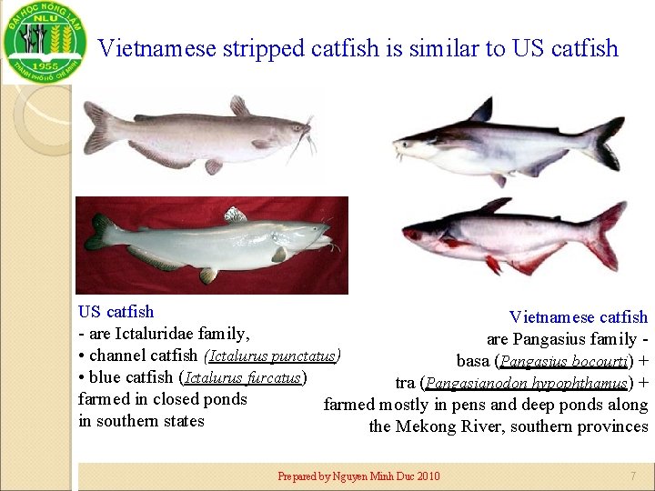 BACKGROUND STUDY FOR GLOBAL VALUE CHAIN ANALYSIS FOR