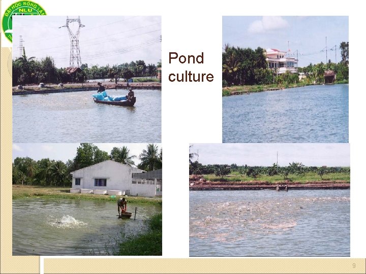 BACKGROUND STUDY FOR GLOBAL VALUE CHAIN ANALYSIS FOR