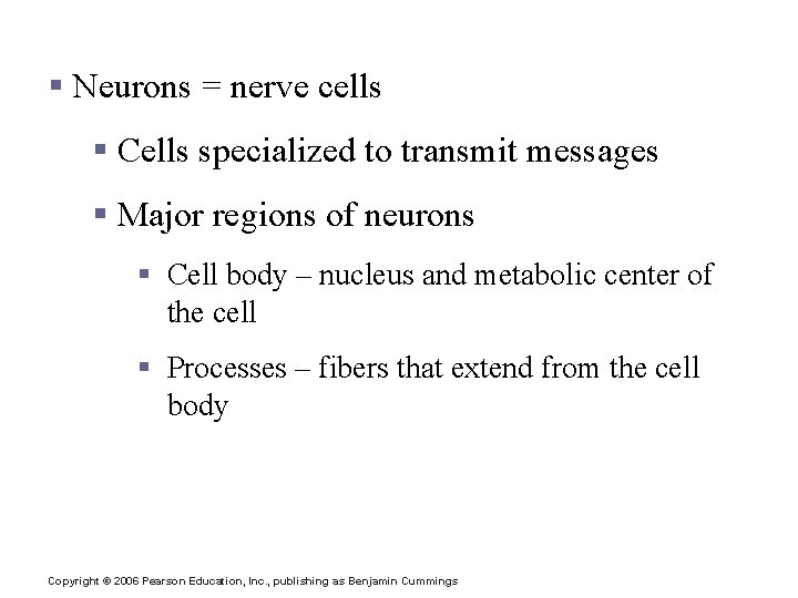 7 The Nervous System PART A Power Point