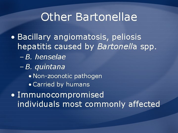 Cat Scratch Disease and Other Bartonella Infections Overview