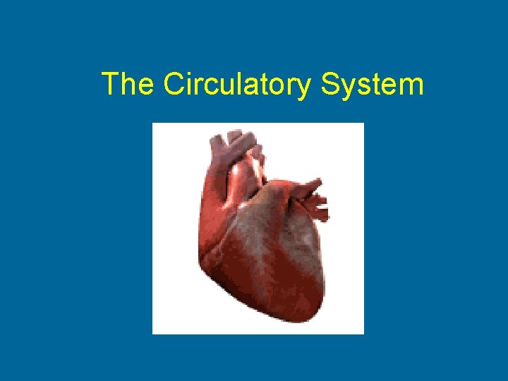 The Circulatory System Jobs of the Circulatory System