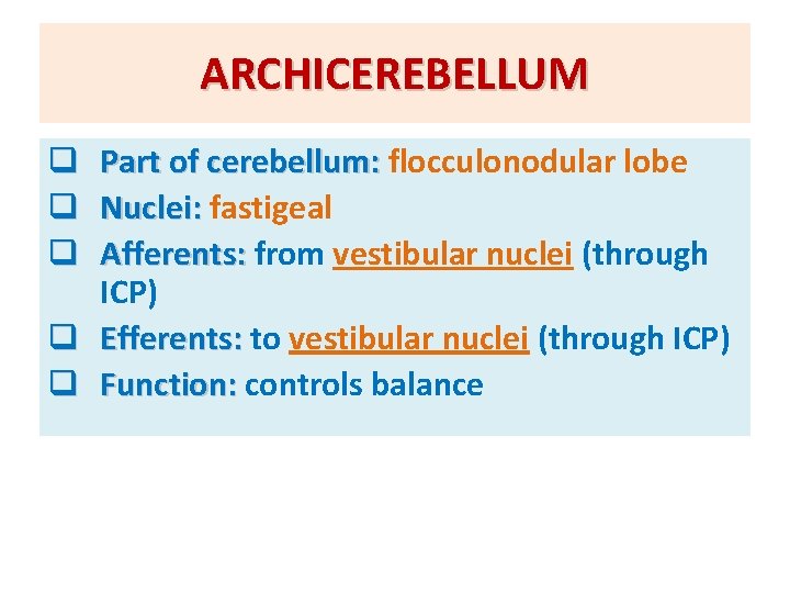 THE CEREBELLUM ITS RELEVANT CONNECTIONS Prof Ahmed Fathalla